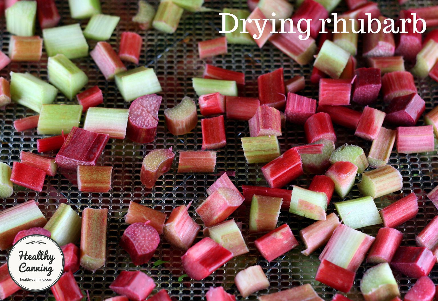 Drying rhubarb - Healthy Canning in Partnership with Facebook Group ...
