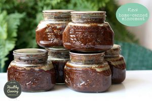 Home canned mincemeat - Healthy Canning in Partnership with Facebook ...